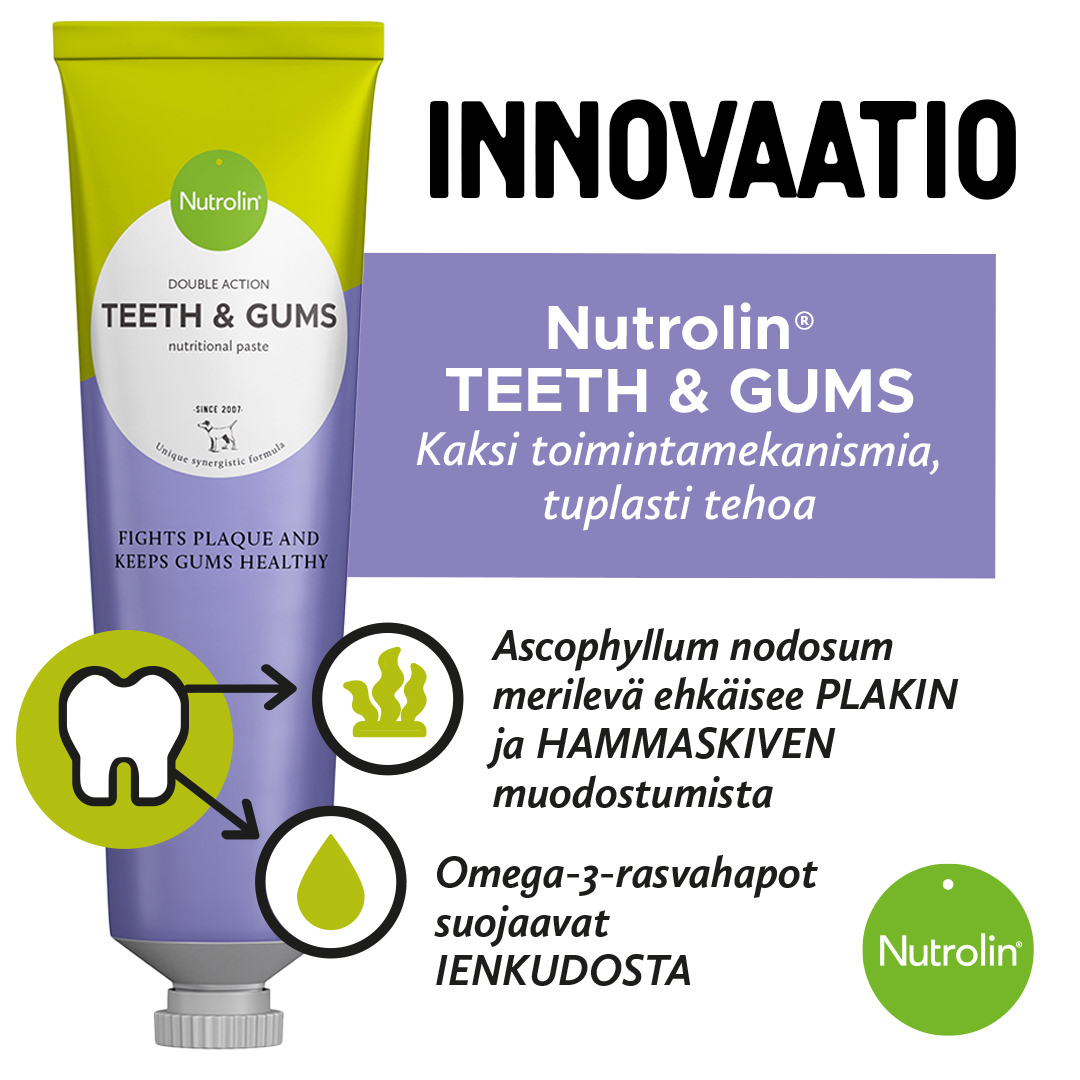 Nutrolin® TEETH & GUMS koiran ja kissan suun hyvinvoinnille