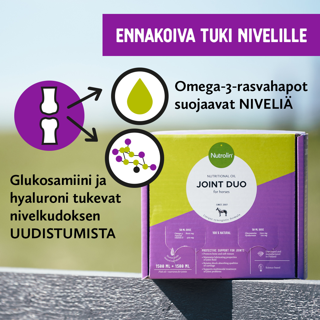 Hevosen nivelrikko – Nutrolin® HORSE Joint Duo auttoi Ihanaa - Nutrolin ...